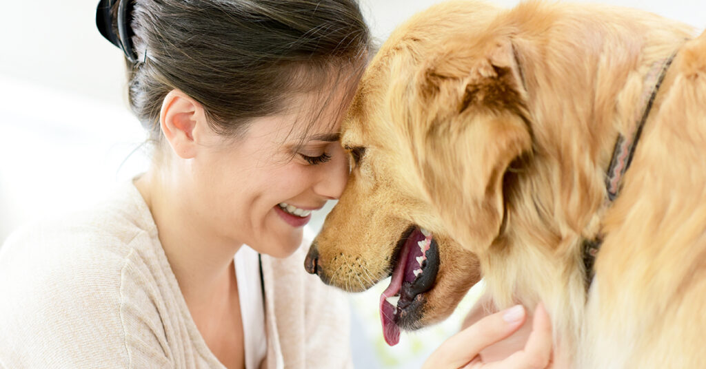 how-did-canine-teeth-get-their-name-did-and-are-they-different-from-eye